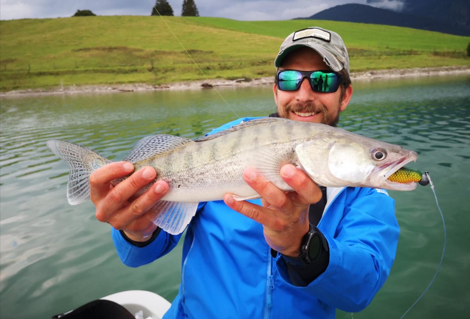 Zander & Barsch di Bavaria! | Alpside Fishing